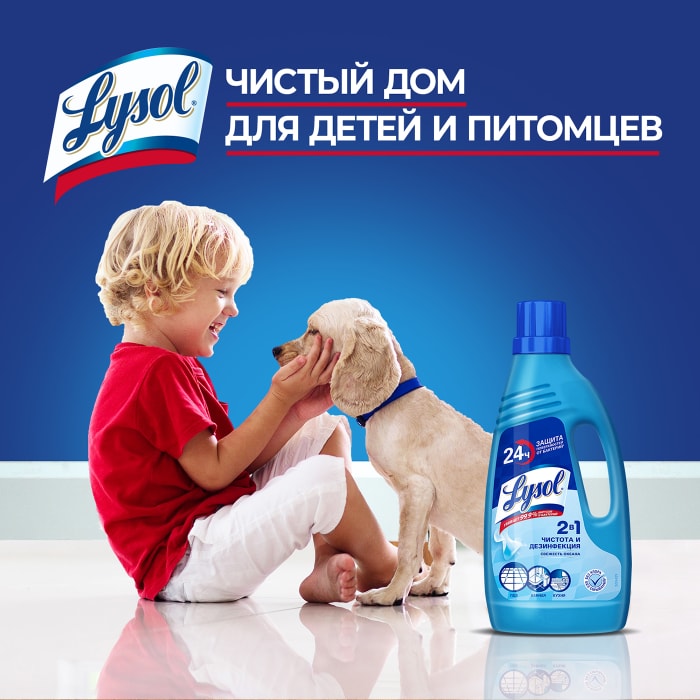 Lysol 450 302.00